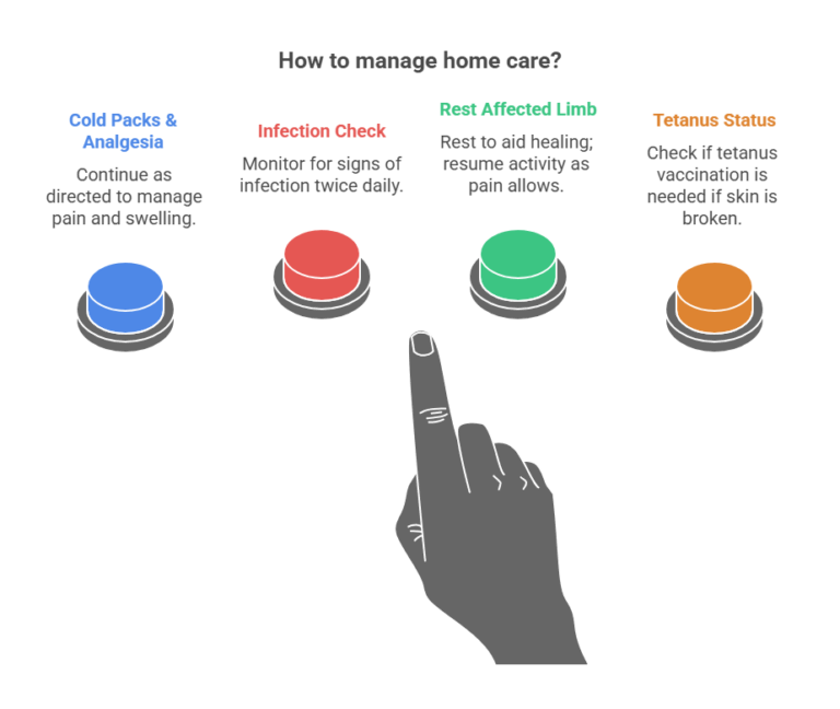 Redback Spider Bite: Identification, Symptoms, First Aid & Prevention ...